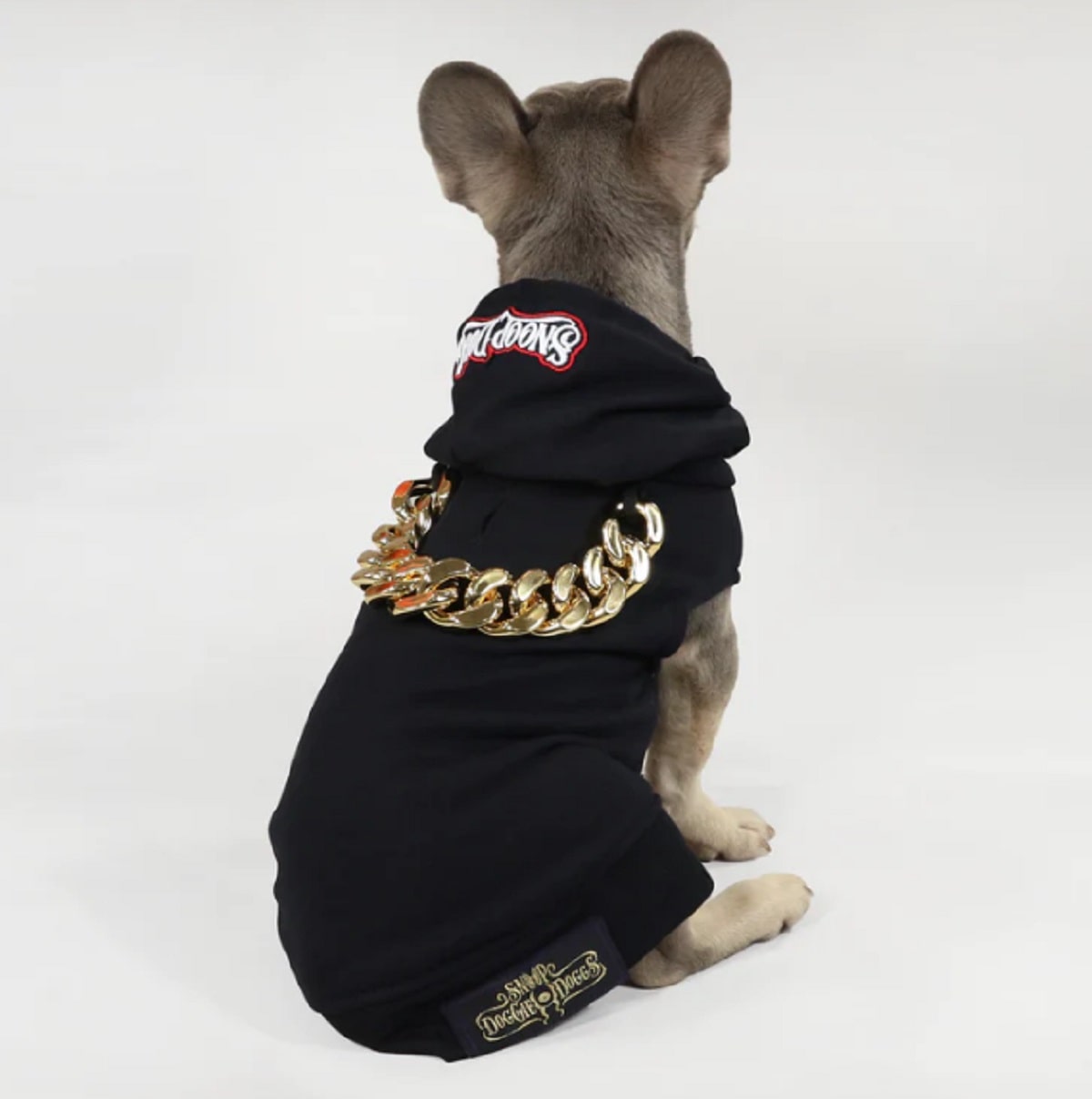 Snoop Dogg y su nueva línea de ropa para perros - Mad Radio